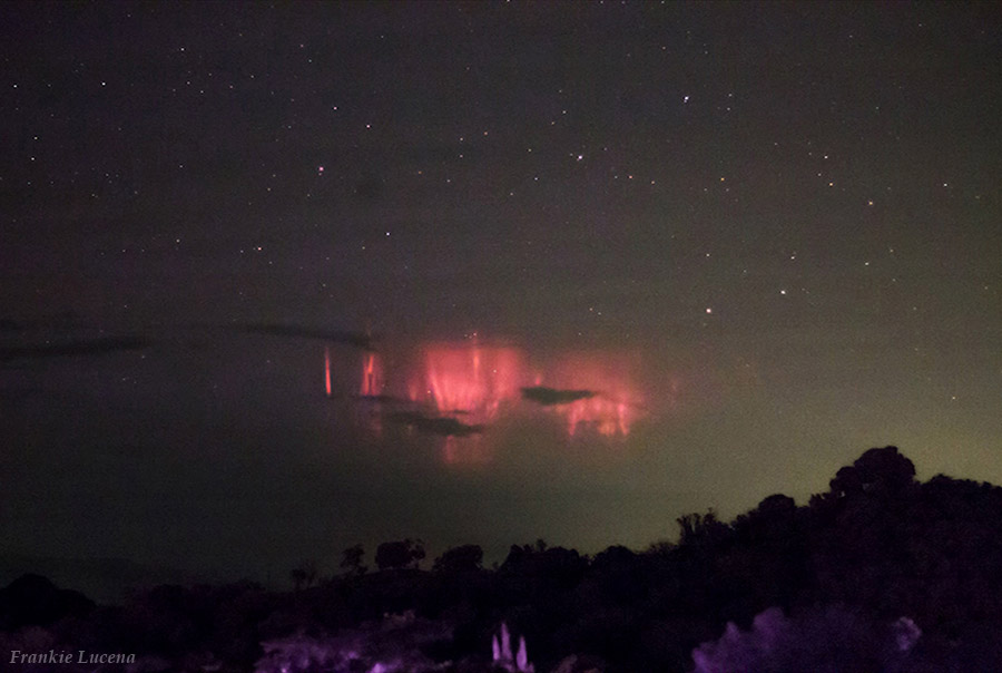 TWAN | The Majestic Red Sprite